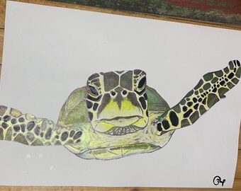 Sea Turtle Art Print 8x10 Beach Wall Decor - Etsy