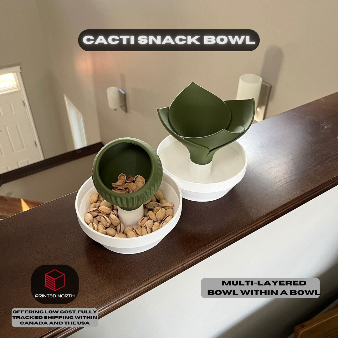 Cacti Bowl, Double Bowl, Snack Bowl, Fake Cactus Bowl, Plant Themed ...