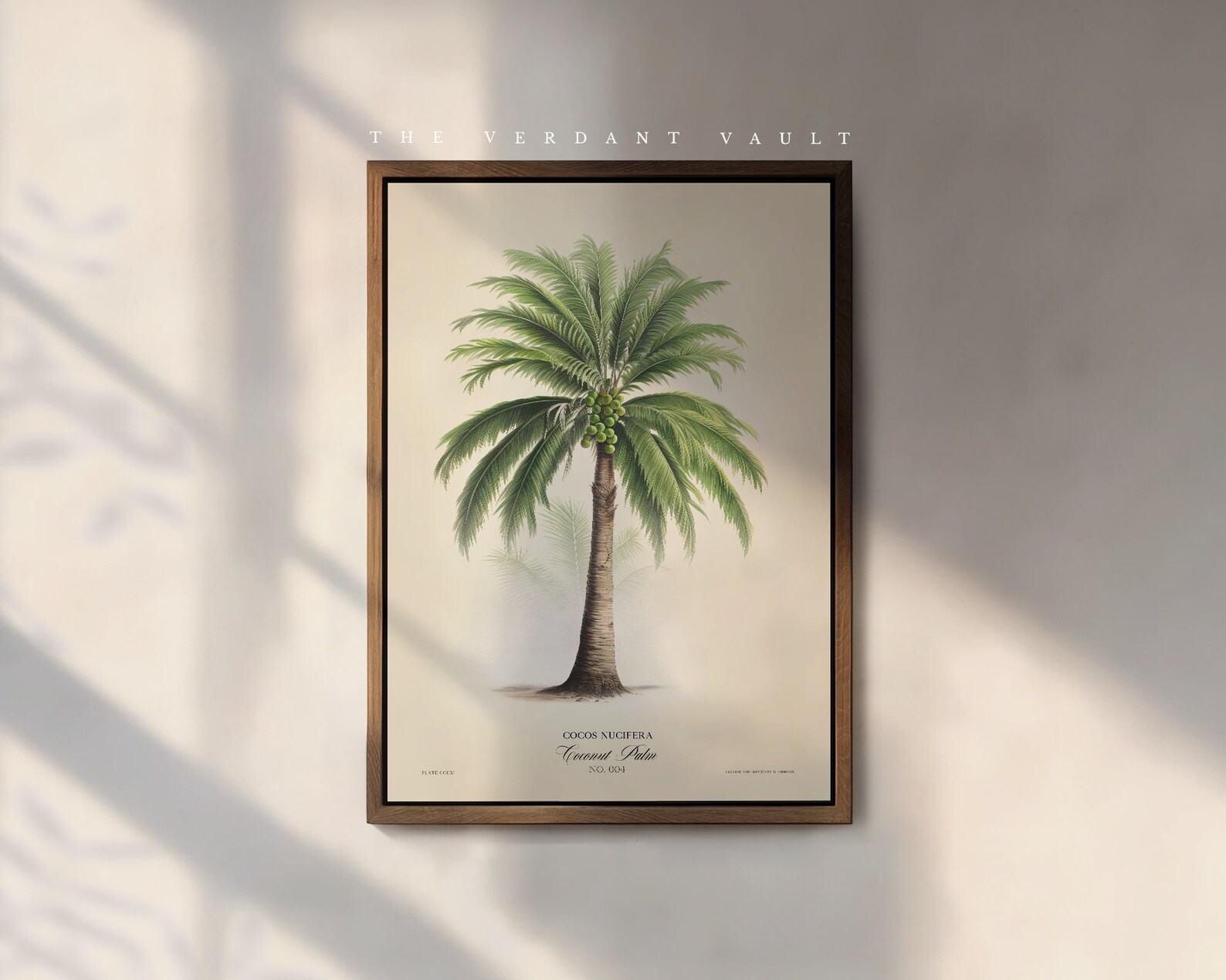 Antique Coconut Palm Tree Art Print: Victorian Botanical Illustration ...