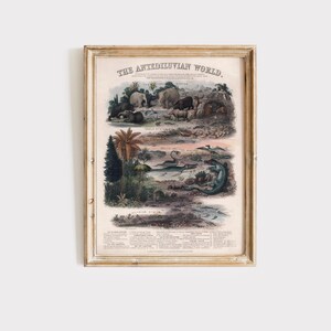 Historical Print of Ancient Animals and Fossils. This Vintage ...