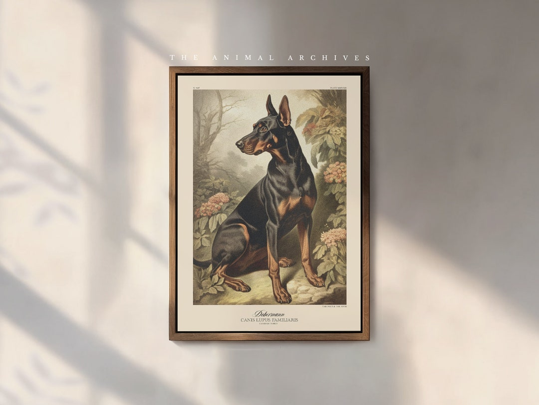 Vintage Dobermann Art Print: Victorian Style Dog Portrait - Etsy