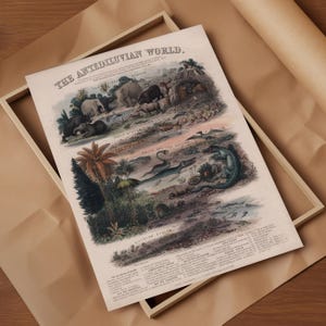 Historical Print of Ancient Animals and Fossils. This Vintage ...