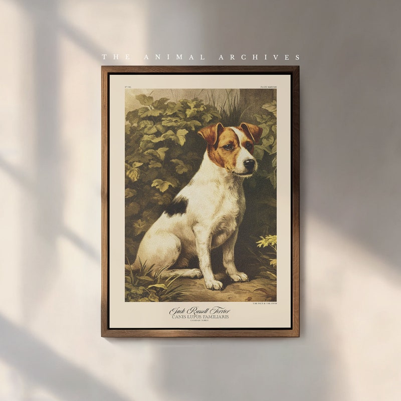 Jack Russell - Etsy