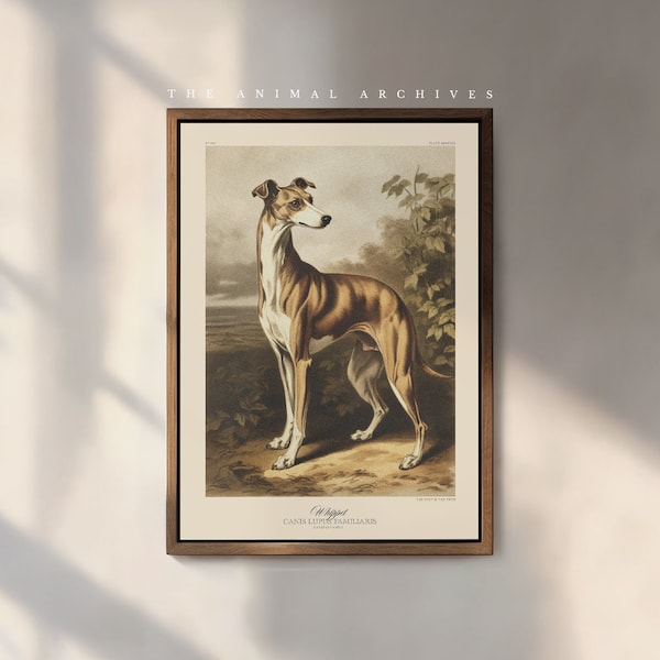 Vintage Whippet Wall Art - Etsy UK