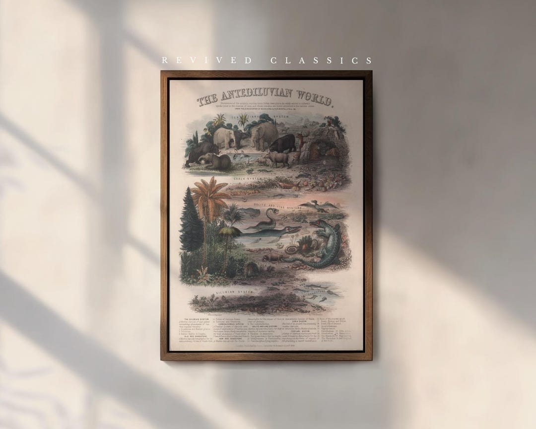 Historical Print of Ancient Animals and Fossils. This Vintage ...