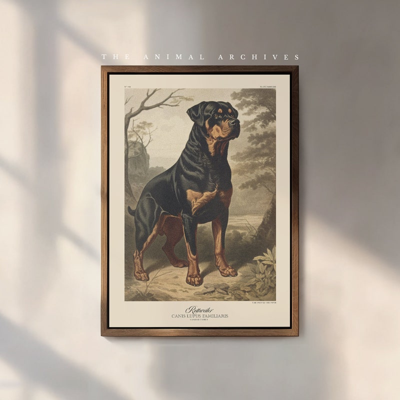Rottweiler Art - Etsy