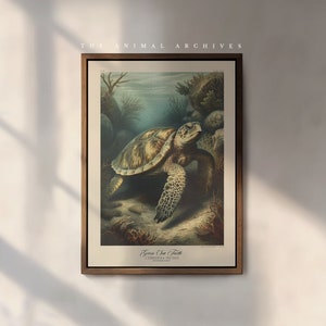 Green Sea Turtle Art Print: Vintage Victorian Style, Ocean Life - Etsy