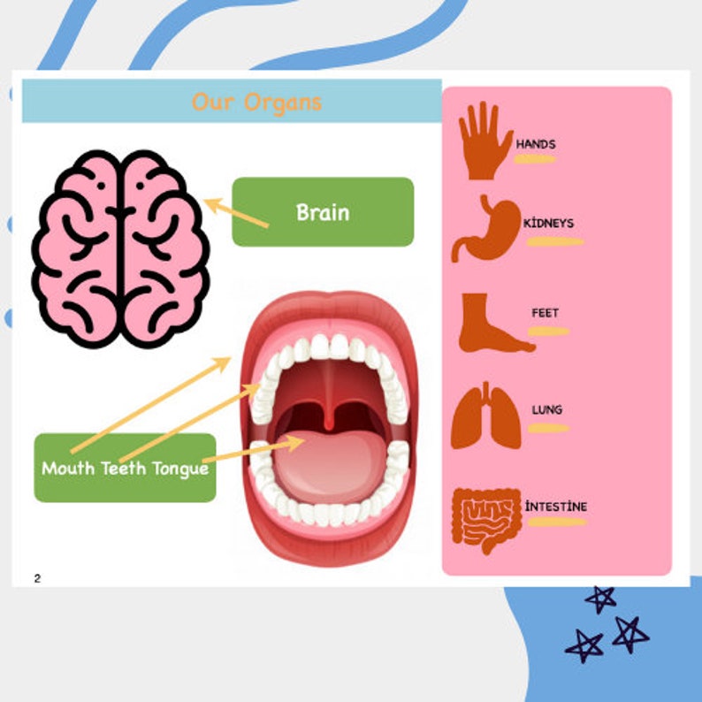 Printable Human Body Systems Science Activity for Preschool - Etsy Printable Human Body Systems Science Activity for Preschool - Etsy
