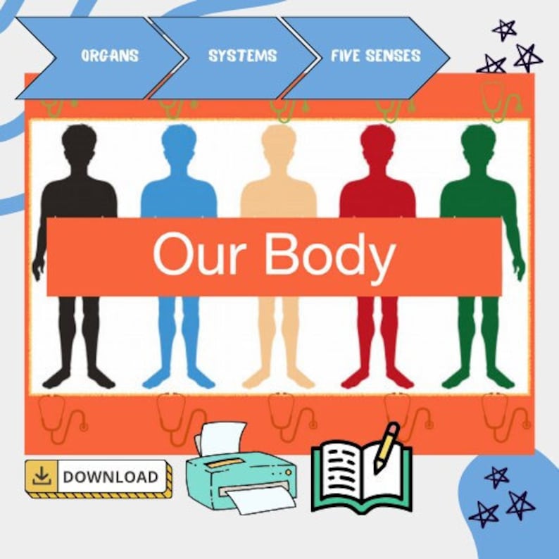 Printable Human Body Systems Science Activity for Preschool - Etsy