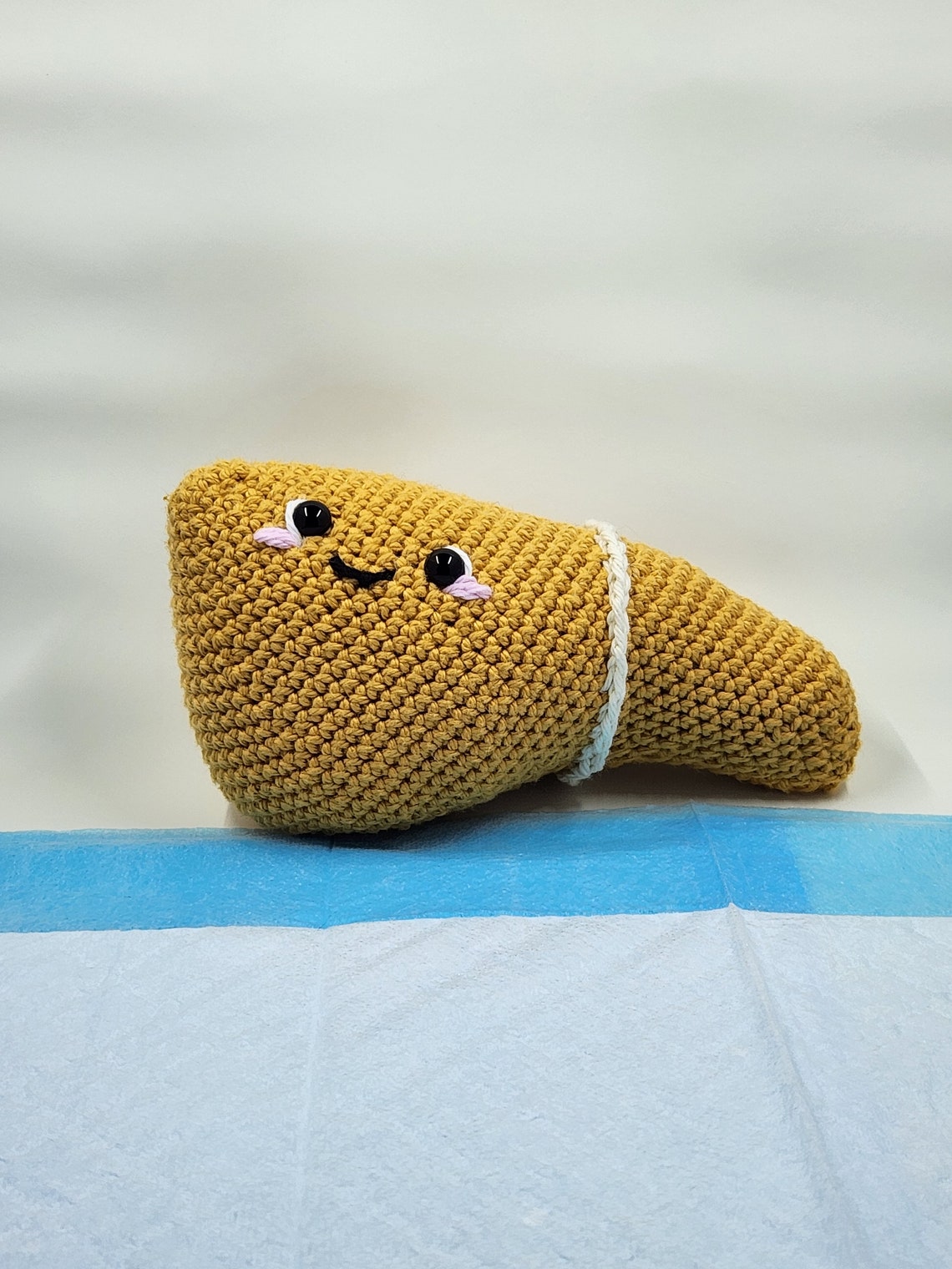 Amigurumi Crochet Liver, Amigurumi Crochet Organ, Gift for Nurse, Gift ...