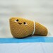 Amigurumi Crochet Liver, Amigurumi Crochet Organ, Gift for Nurse, Gift ...