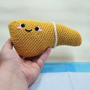 Amigurumi Crochet Liver, Amigurumi Crochet Organ, Gift for Nurse, Gift ...