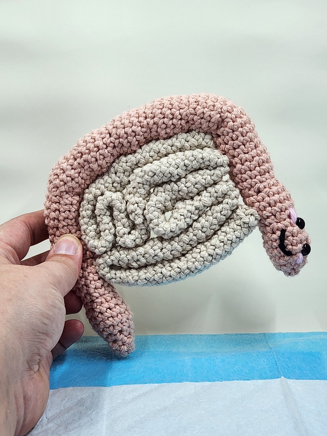 Amigurumi Crochet Intestines, Amigurumi Crochet Organs, Gift for Nurse ...