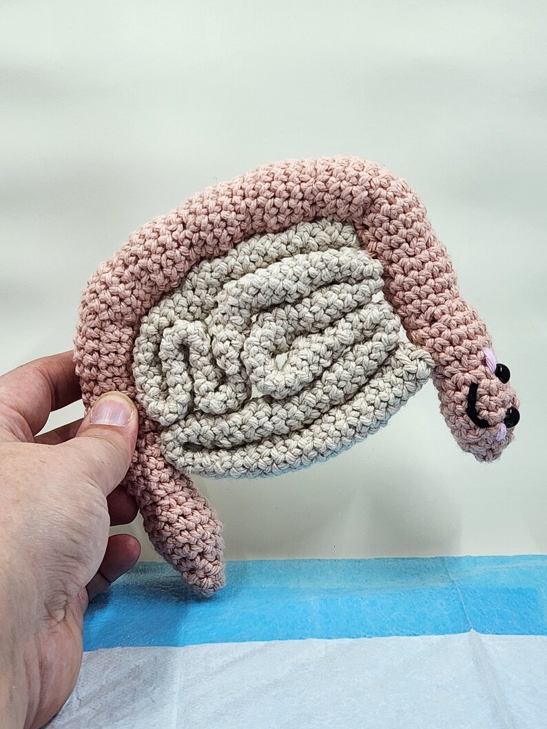 Amigurumi Crochet Intestines, Amigurumi Crochet Organs, Gift for Nurse ...