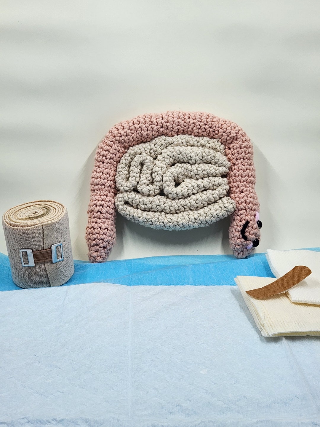 Amigurumi Crochet Intestines, Amigurumi Crochet Organs, Gift for Nurse ...