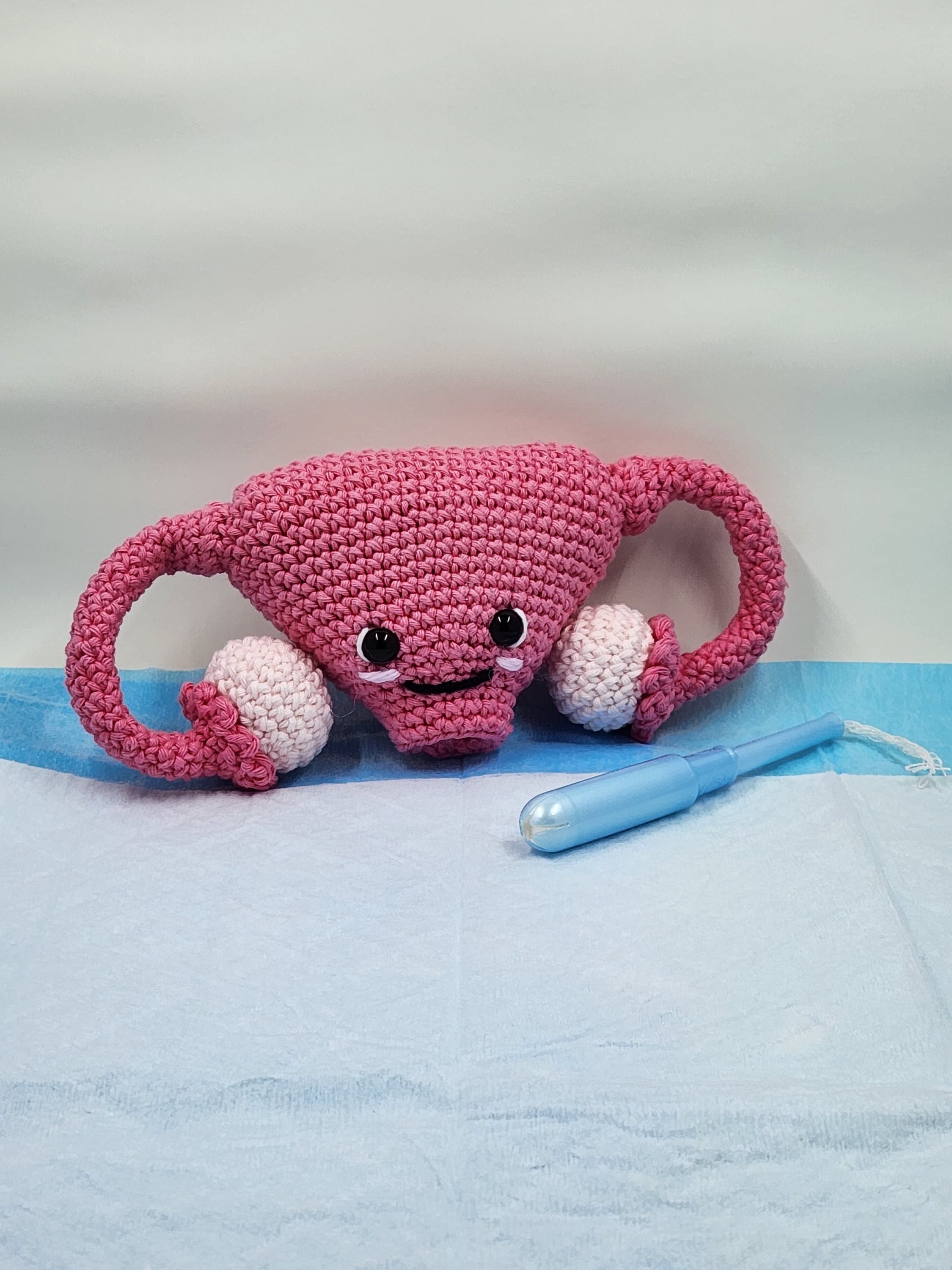 Amigurumi Crochet Uterus, Amigurumi Crochet Organ, Gift for Nurse, Gift ...