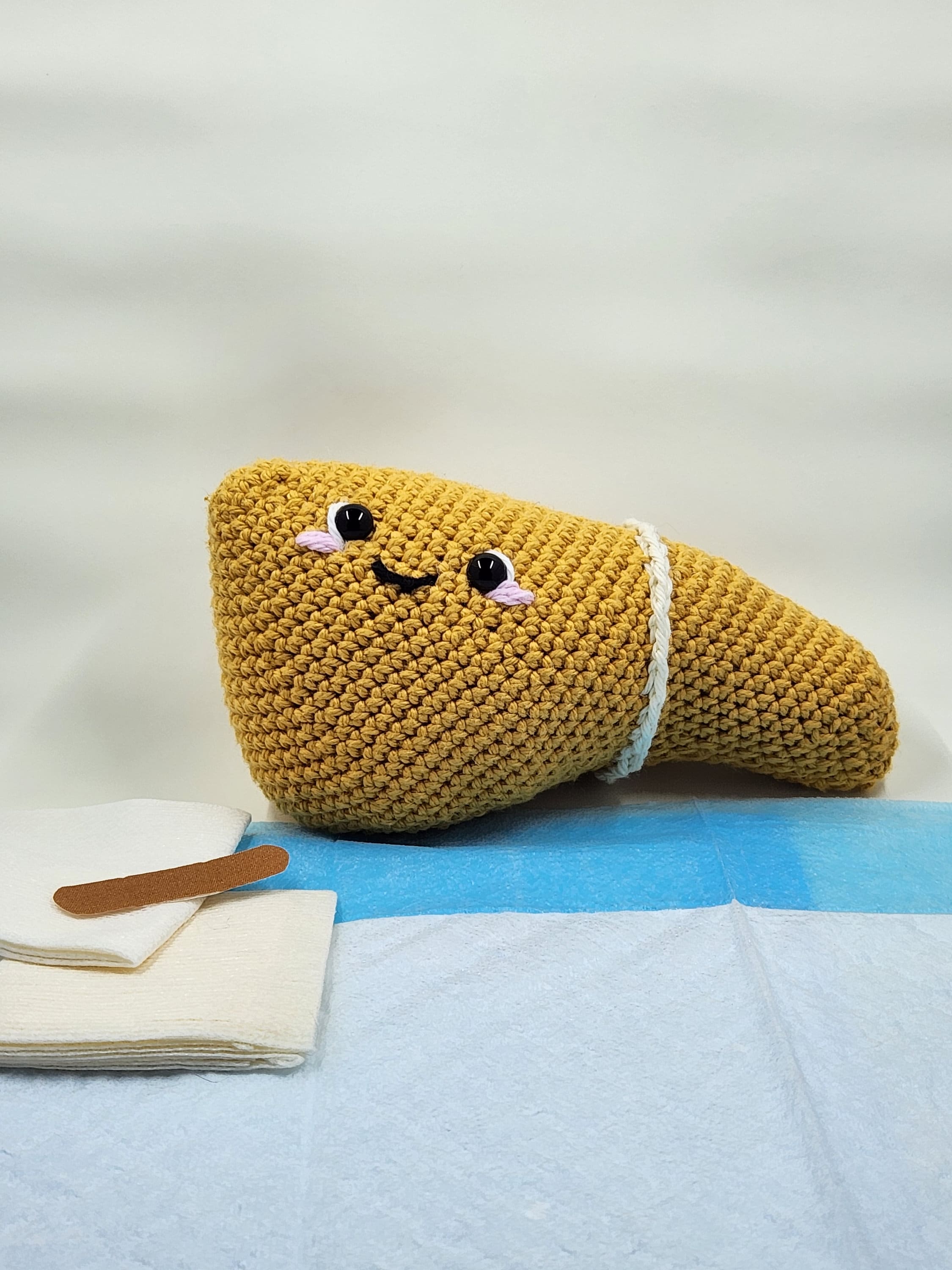 Amigurumi Crochet Liver Amigurumi Crochet Organ Gift for - Etsy