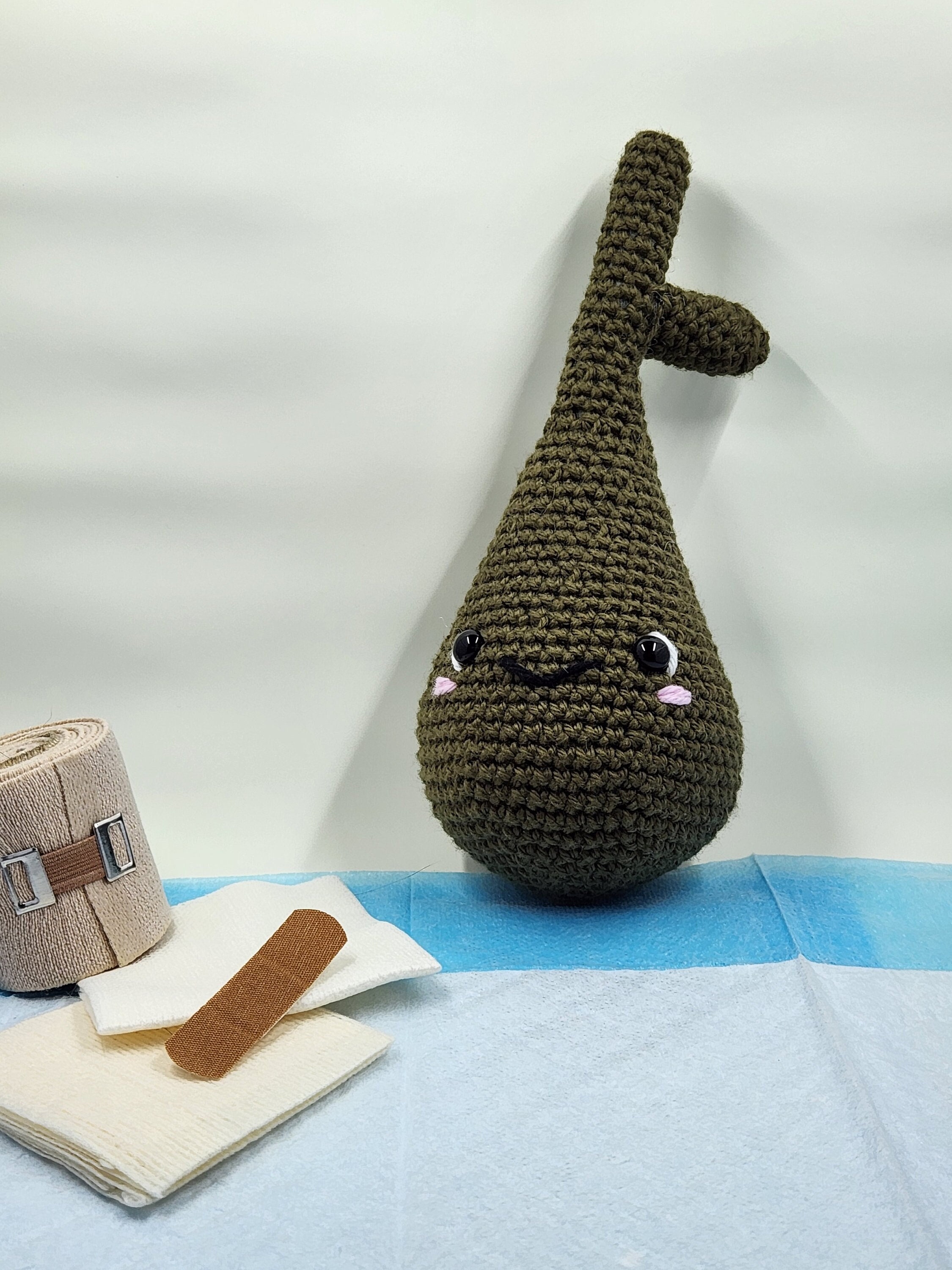 Amigurumi Crochet Gallbladder, Amigurumi Crochet Organ, Gift for Nurse ...