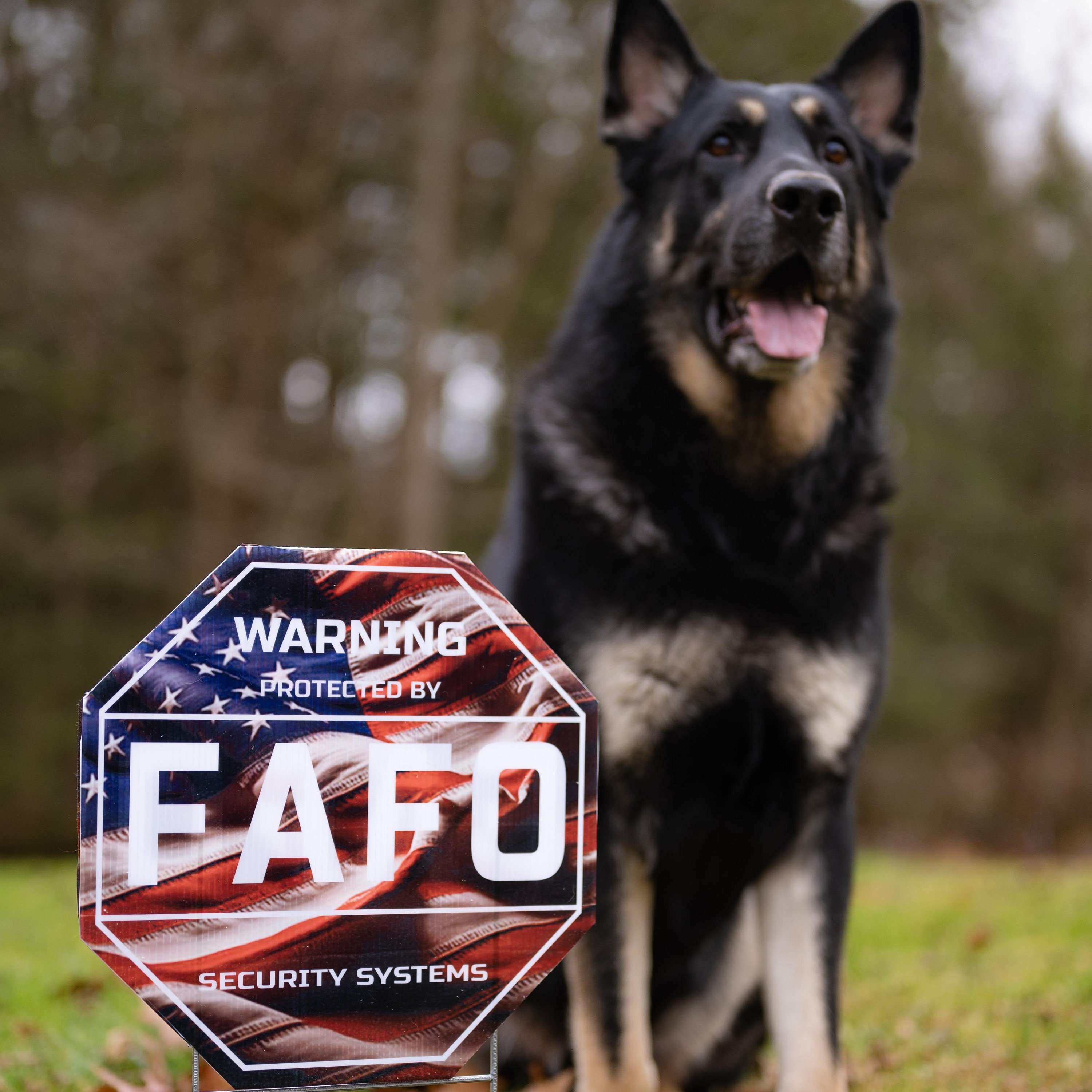 Kid Friendly American Flag FAFO Sign, Home Protection, Patriotic, Funny ...