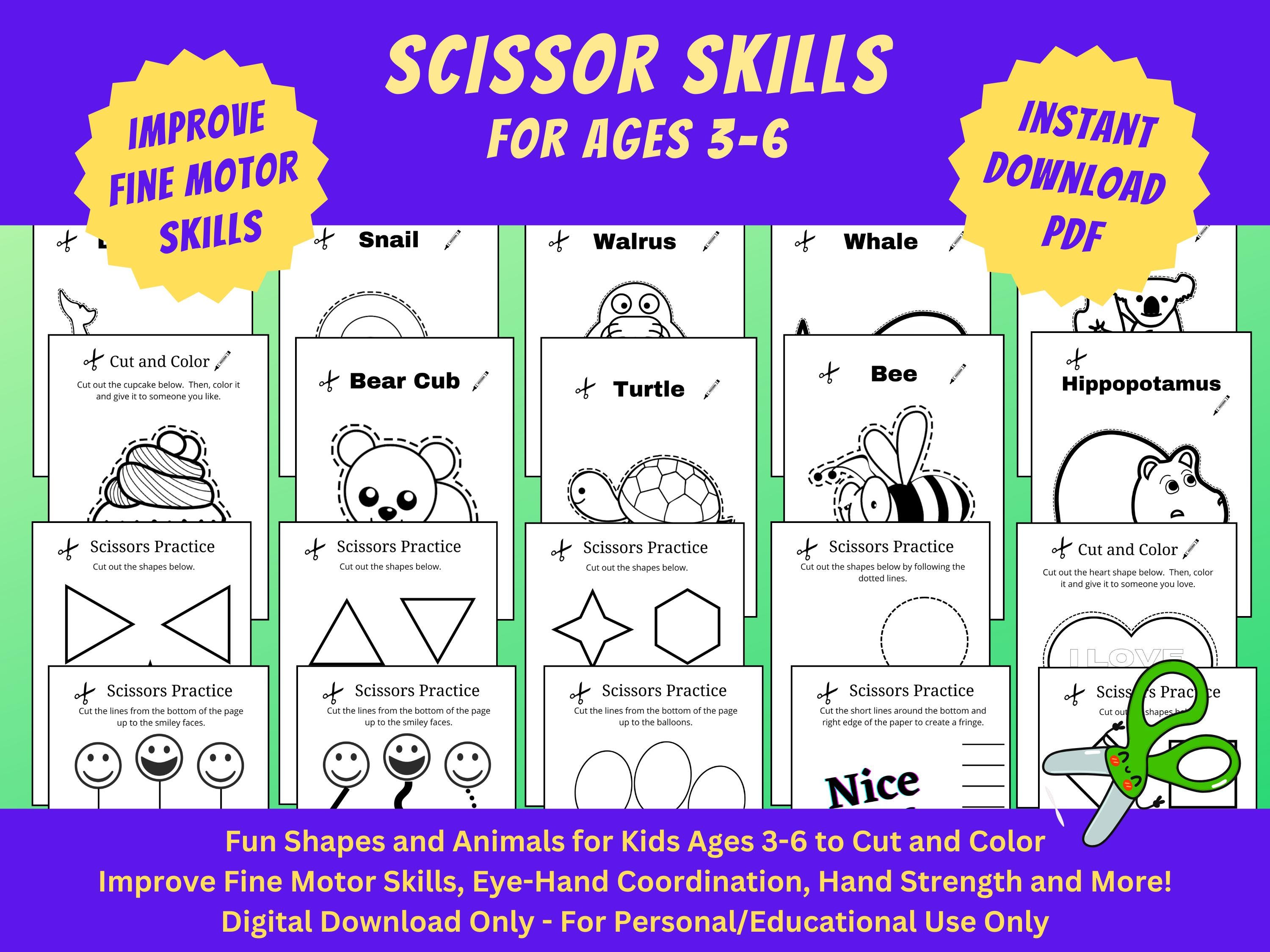 Preschool & Kindergarten Learning Bundle, 300+ Printable Worksheets ...