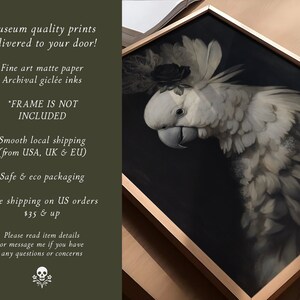 Madame Cockatoo Victorian Bird Portrait Art Print, Old Parrot Portrait ...