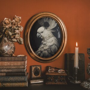 Madame Cockatoo Victorian Bird Portrait Art Print, Old Parrot Portrait ...