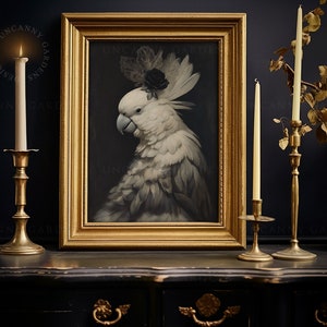 Madame Cockatoo Victorian Bird Portrait Art Print, Old Parrot Portrait ...