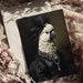 Victorian Cockatoo Portrait Gothic Parrot Wall Art, Dark Academia Print ...