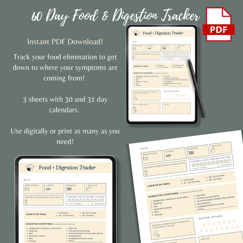 60 Day Food and Digestion Tracker - Etsy