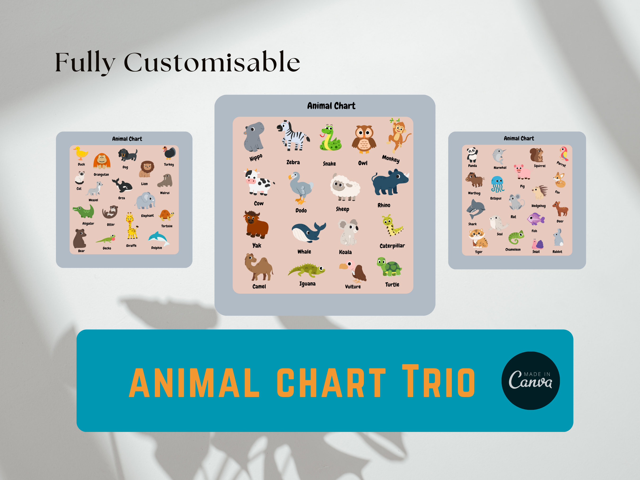 Toddlers Animal Chart Playroom Prints Childrens Learning - Etsy
