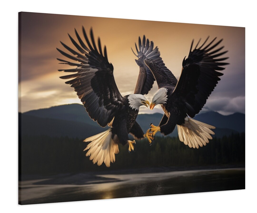 Bald Eagles love Birds fine Art Gallery Wrap Jonathanjewels.com - Etsy