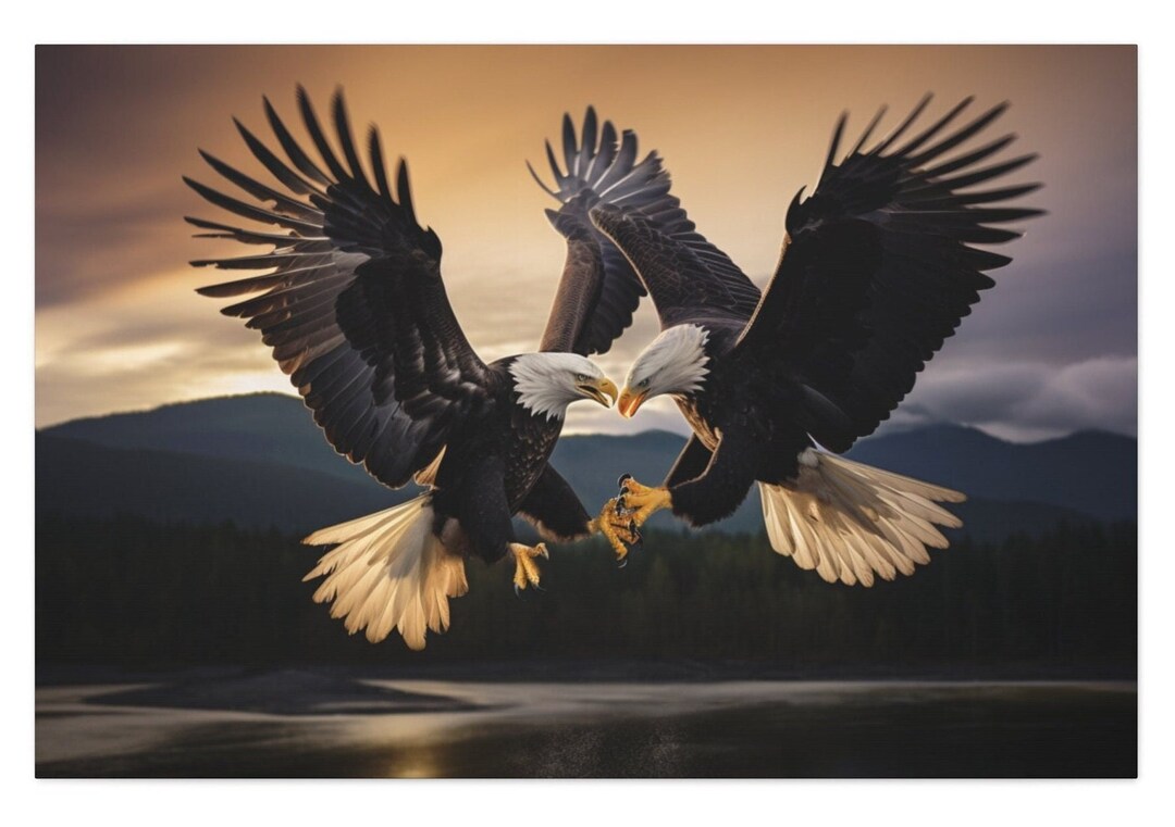 Bald Eagles love Birds, Canvas Gallery Wrap, on 1.25 Frame With 2 Pre ...
