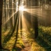 A Light Unto My Path Digital Download - Etsy