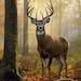 Whitetail Buck Deer Fall Art Digital Art - Etsy