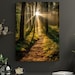 A Light Unto My Path Digital Download - Etsy