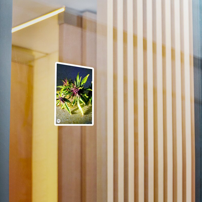 Purple Kush Decal - Etsy