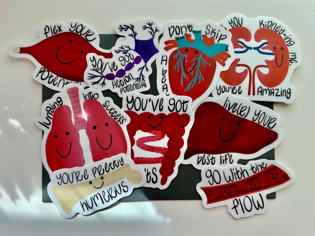 Anatomy Sticker Set: Cute Motivational Organ Stickers, Nursing Student ...