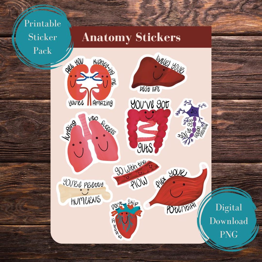 Printable Anatomy Sticker Pun Pack, Digital Download PNG, Cute Hand ...