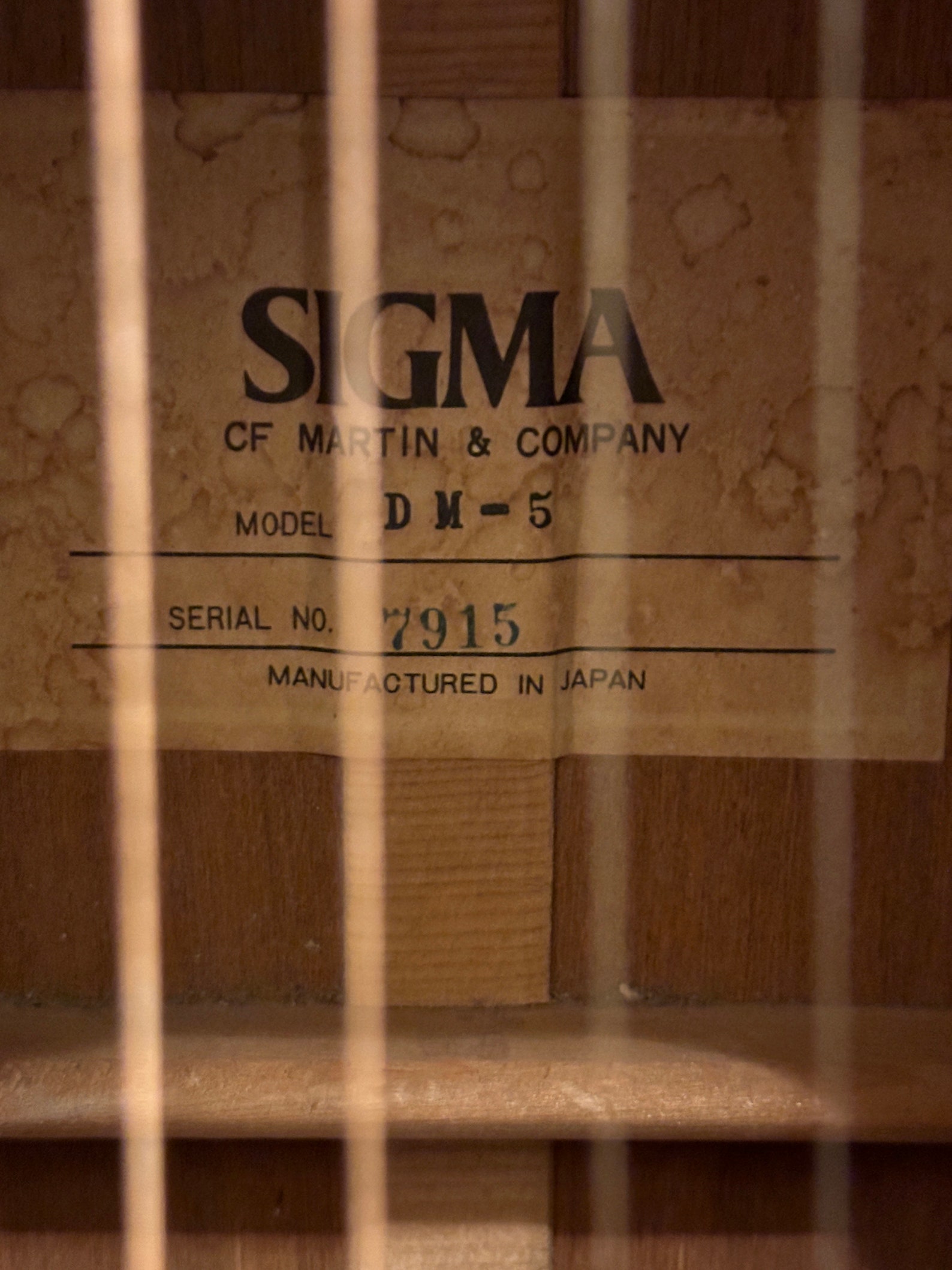 Vintage Martin Sigma DM-5, Dreadnought Mahogany Acoustic Guitar, Hard ...