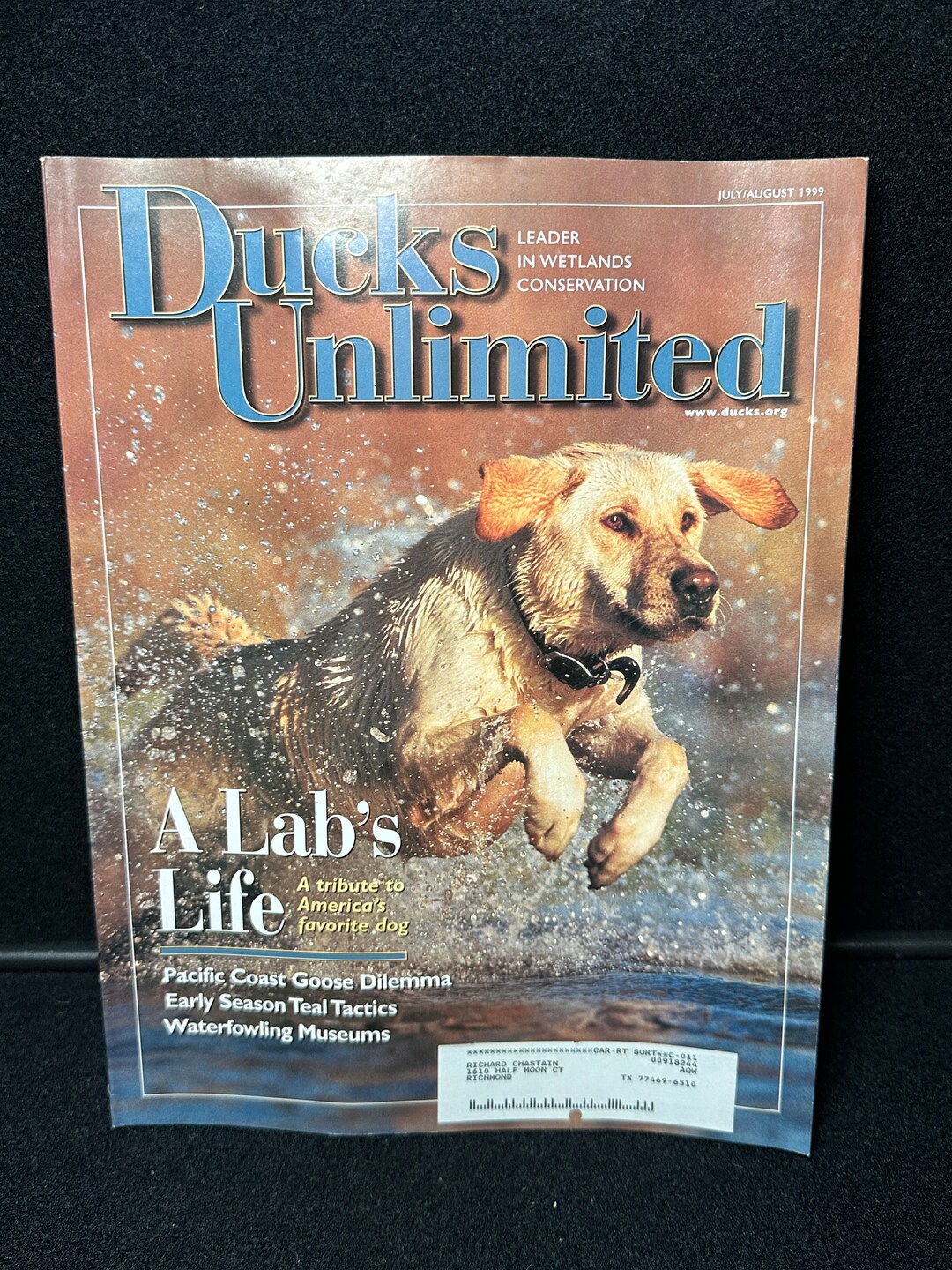 DUCKS UNLIMITED Magazine 1999 July August, Quikship - Etsy