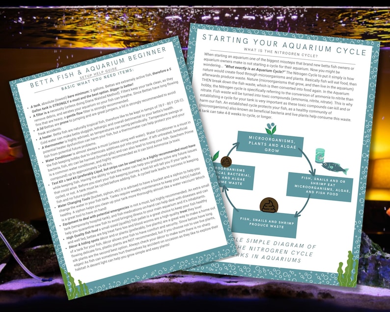 Betta Fish How to Start an Aquarium Starterpack Guide - Cycle Fish Tank ...