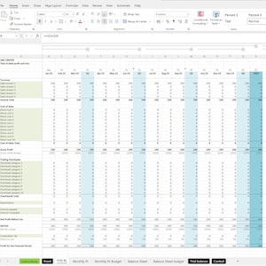 Basic 3 Year Profit & Loss and Balance Sheet Template - Etsy