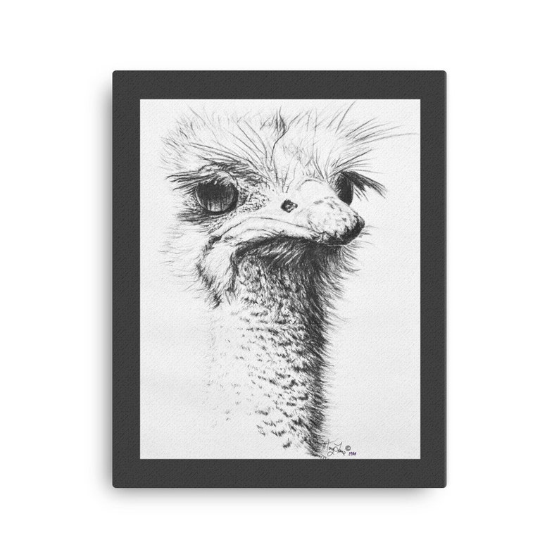 Ollie the Ostrich on Canvas 16 X 20 - Etsy