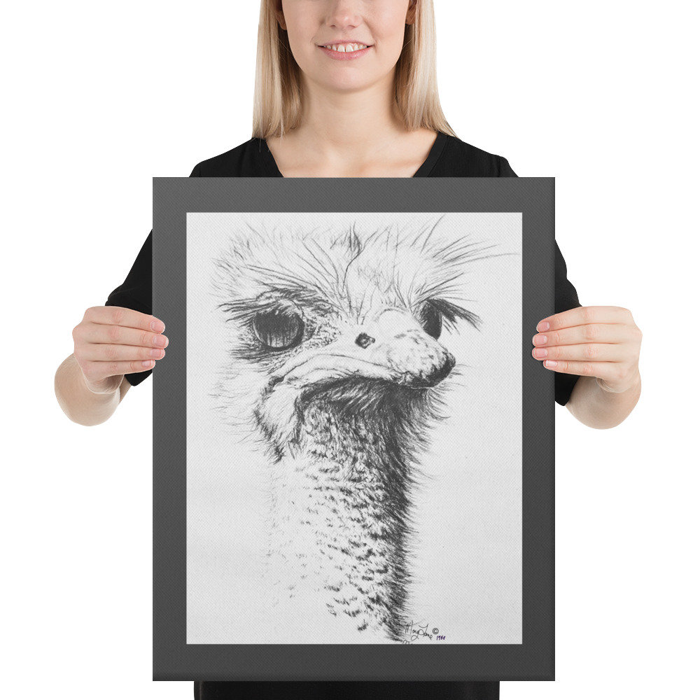 Ollie the Ostrich on Canvas 16 X 20 - Etsy
