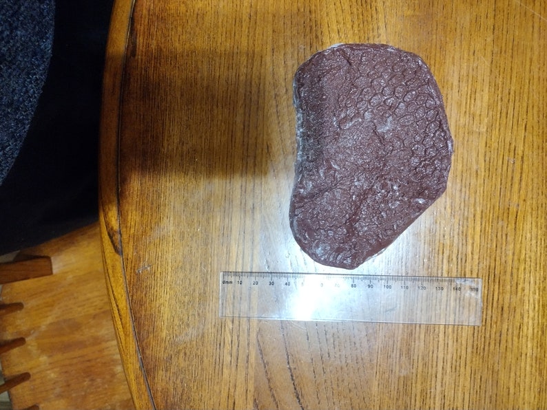 Edmontosaurus Annectens (dinosaur Skin) Fossil Replica - Etsy