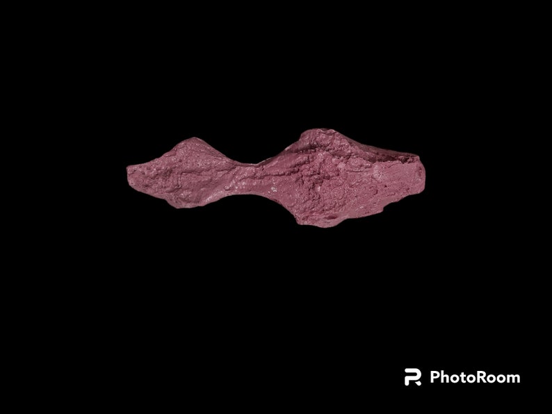 Tyrannosaurus Rex Brain Cast ( Cranial Endocast) Fossil Replica ...