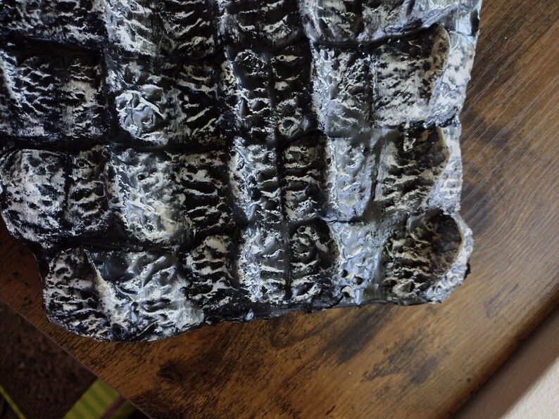 American Alligator (modern) Dermal Armor Scutes Cast Replica - Etsy