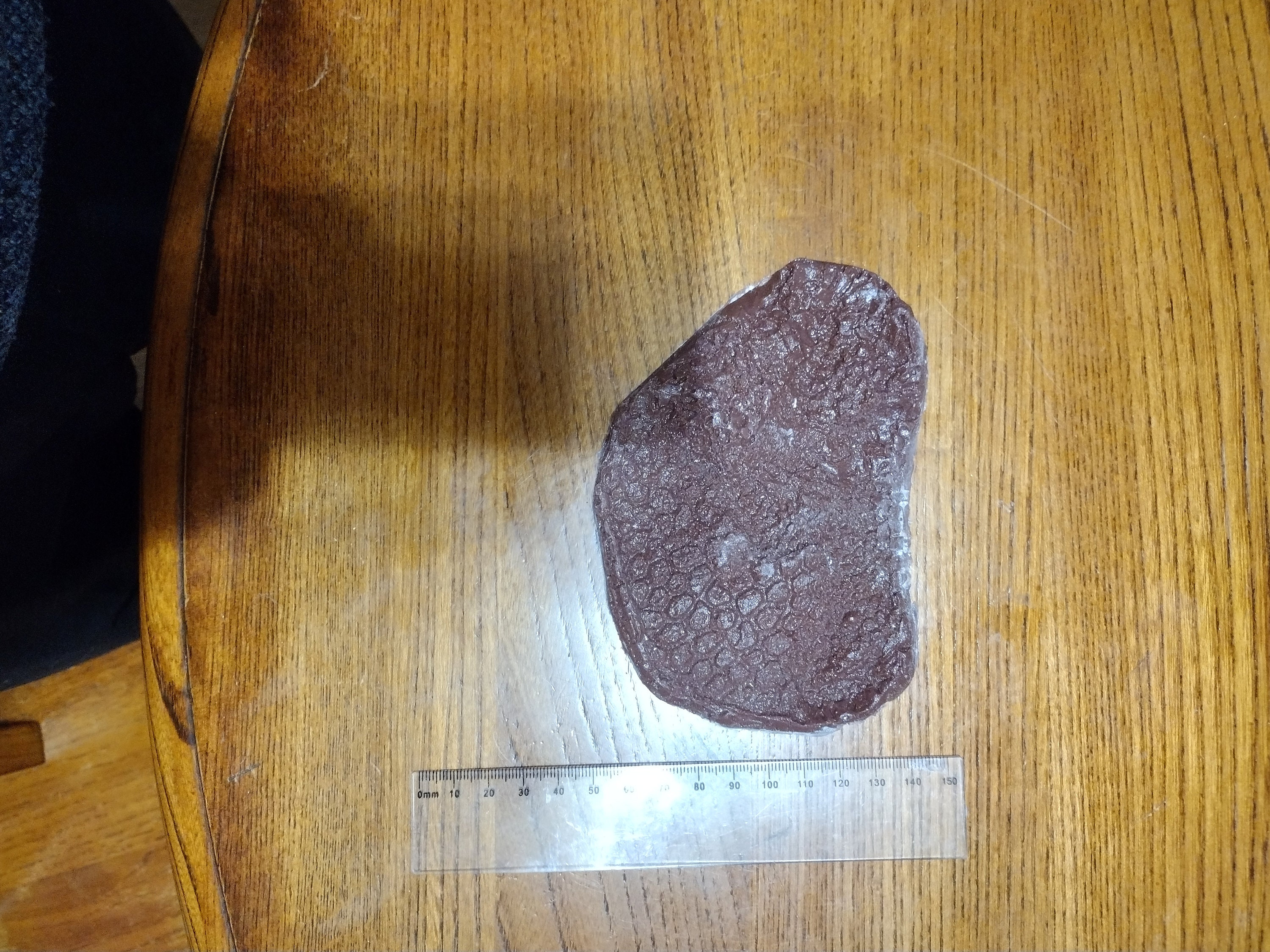 Edmontosaurus Annectens (dinosaur Skin) Fossil Replica - Etsy