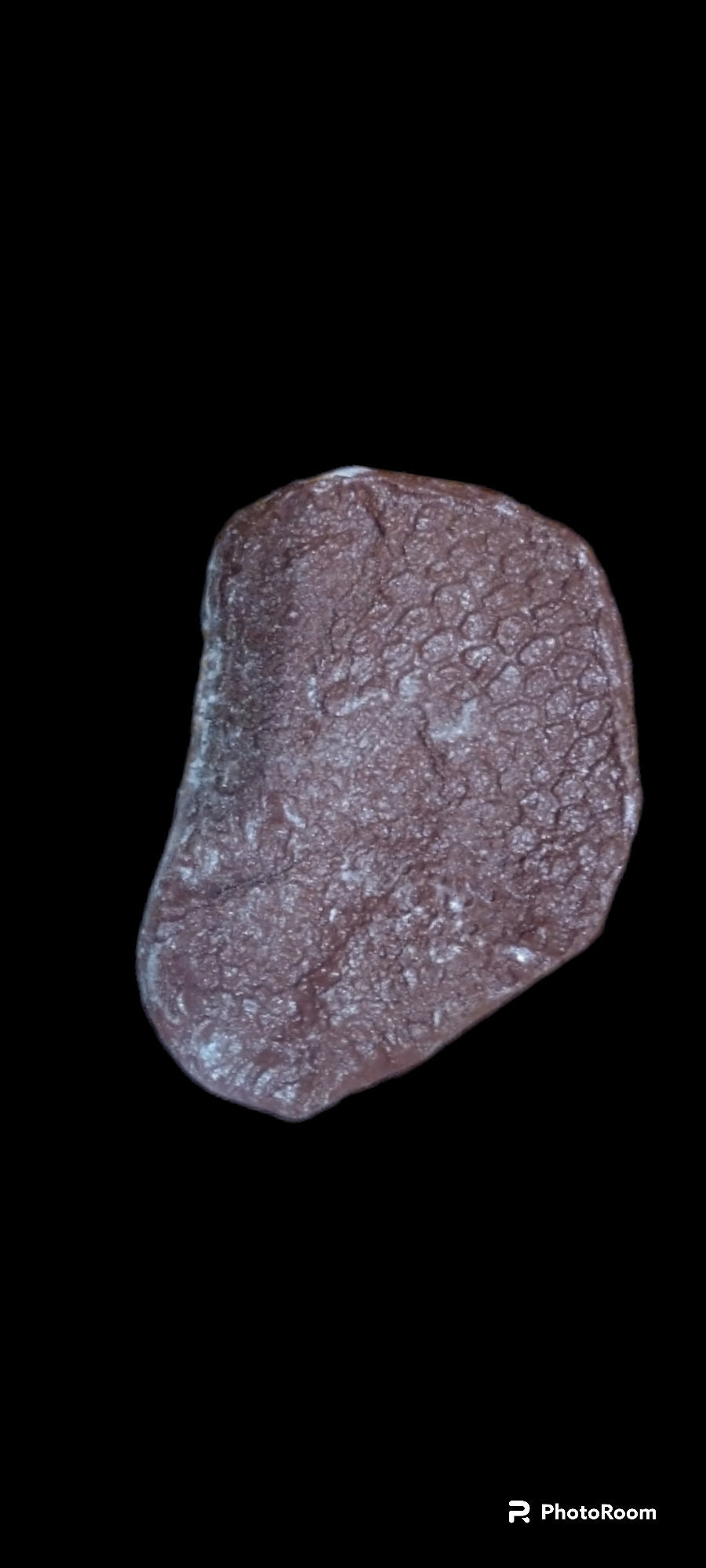 Edmontosaurus Annectens (dinosaur Skin) Fossil Replica - Etsy