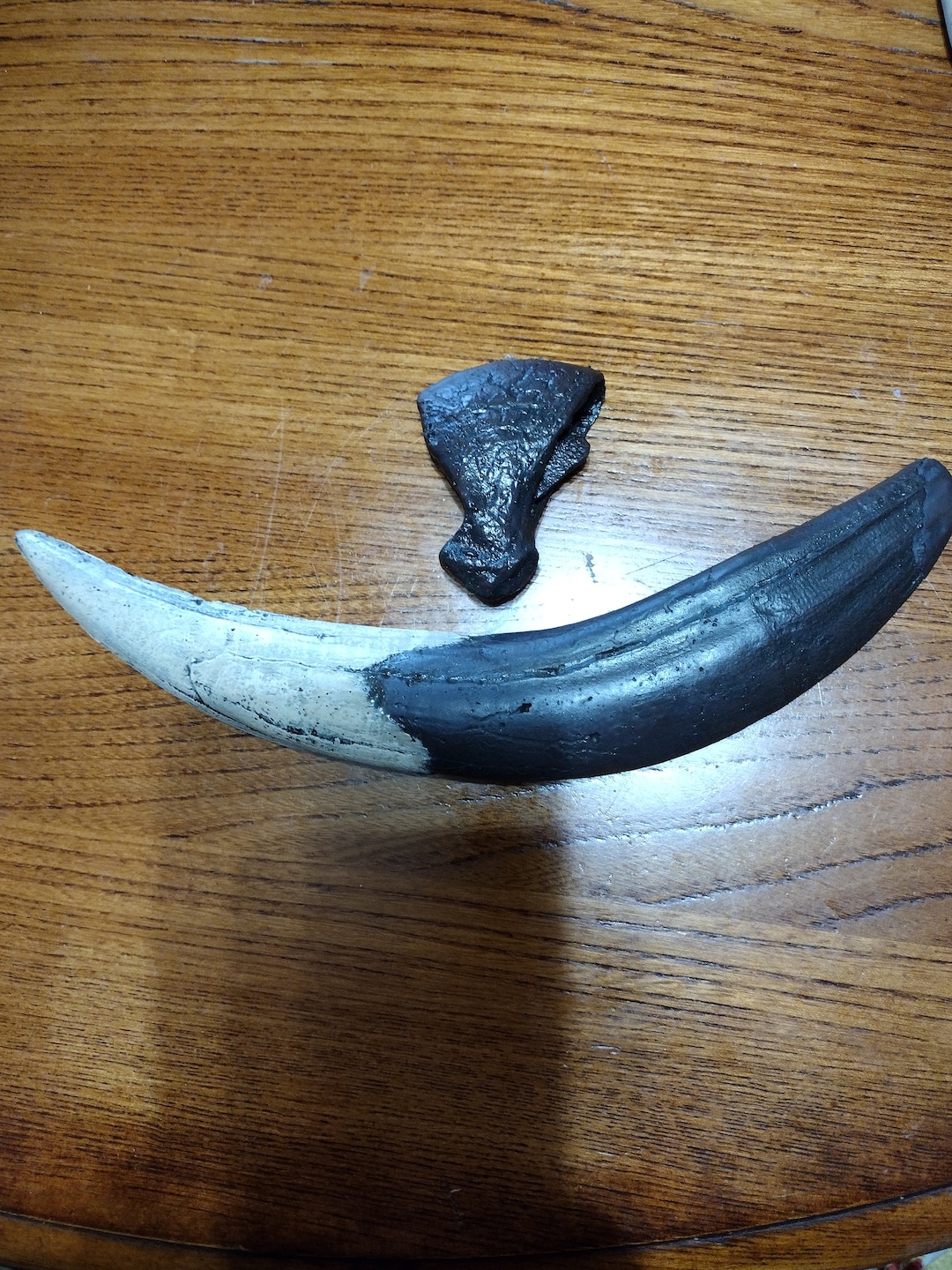 Smilodon Fatalis Canine and Claw Sabre Toothed Cat - Etsy New Zealand